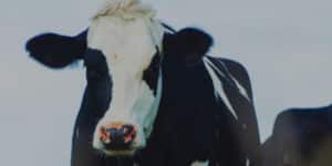 Industrial Chemical Suppliers in Pakistan - Humayun Chemicals